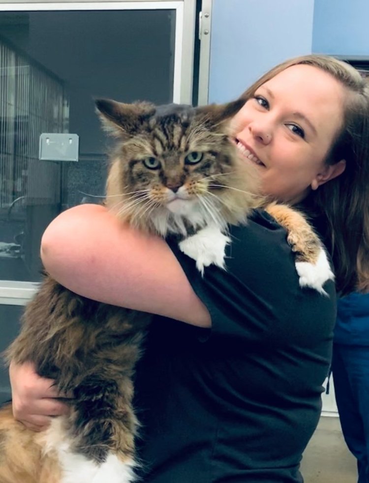 Team – Veterinary Pet Care Specialists